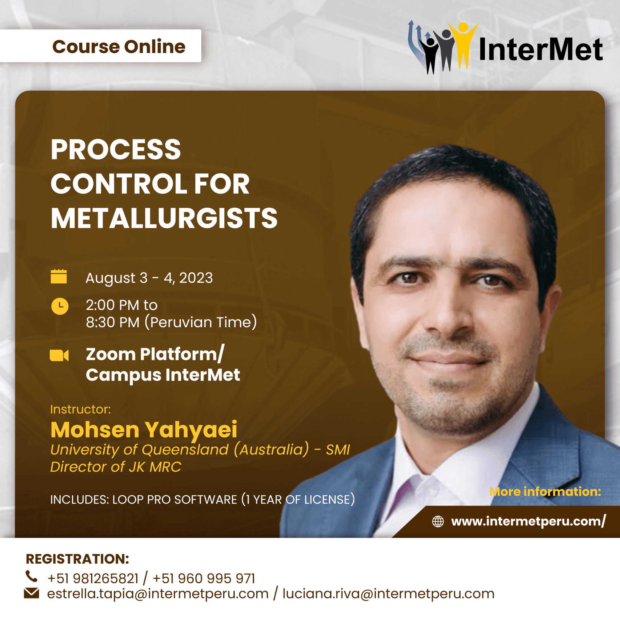 PROCESS CONTROL FOR METALLURGISTS - Intermetperu
